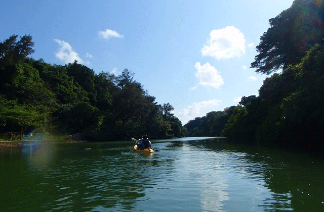 Okinawa Hija River Mangrove Kayak Tour
