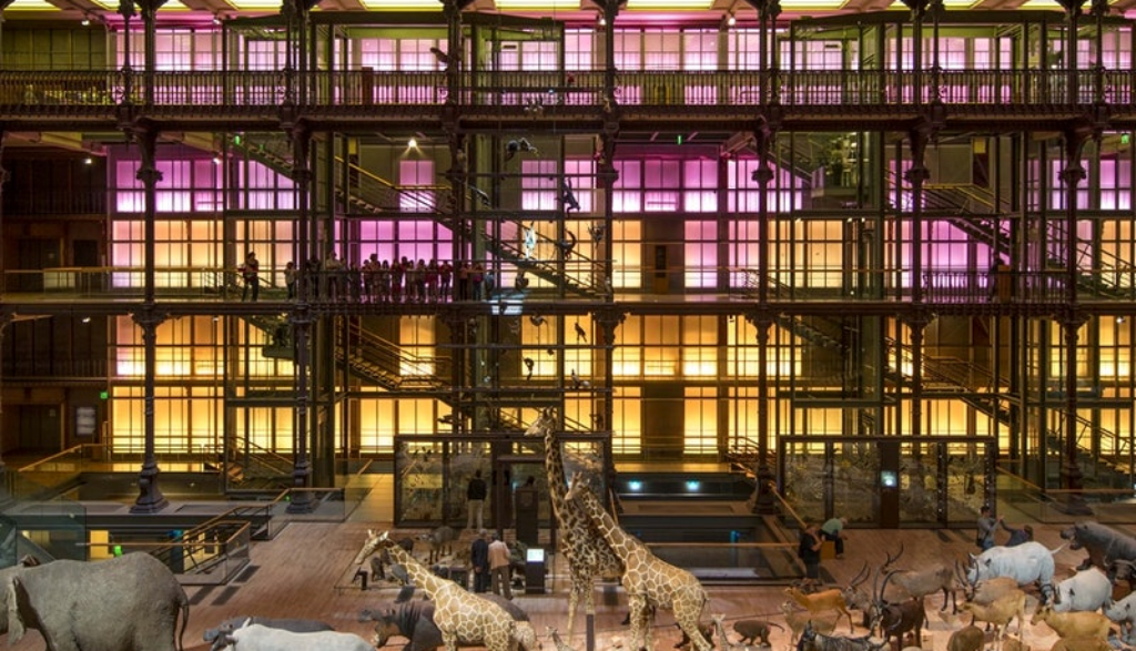 Grande Galerie de l'Évolution (Evolutionary Science Museum) : Skip The ...