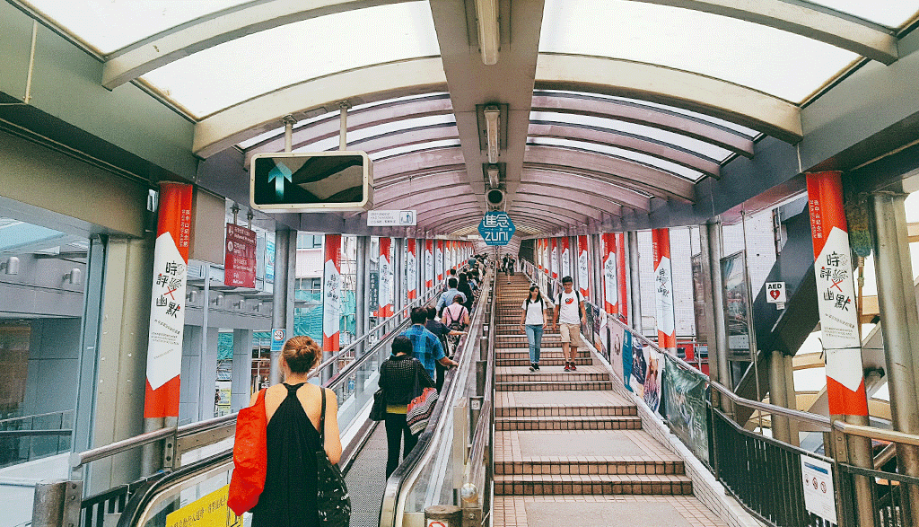 홍콩 로컬 문화 And 푸드 전일 투어 센트럴 And 홍콩섬 남부 And 완차이