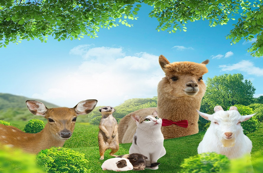 경주 실내동물원 와우쥬 WOW ZOO 입장권