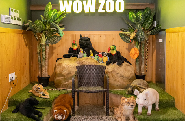 경주 와우쥬 WOW ZOO 입장권