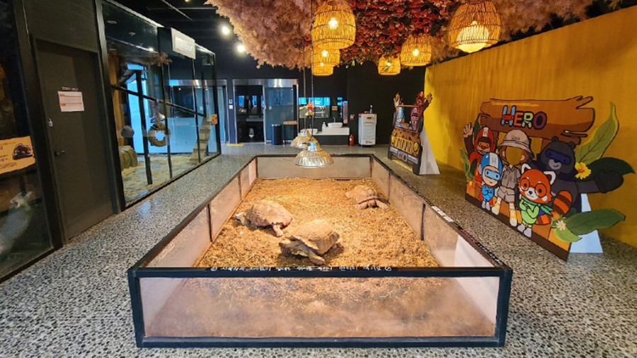 경주 와우쥬 WOW ZOO 실내동물원 입장권