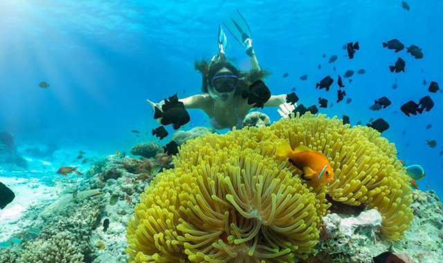 Nha Trang: Hon Mun Island Marine Park & Mini Beach Tour (Snorkeling ...