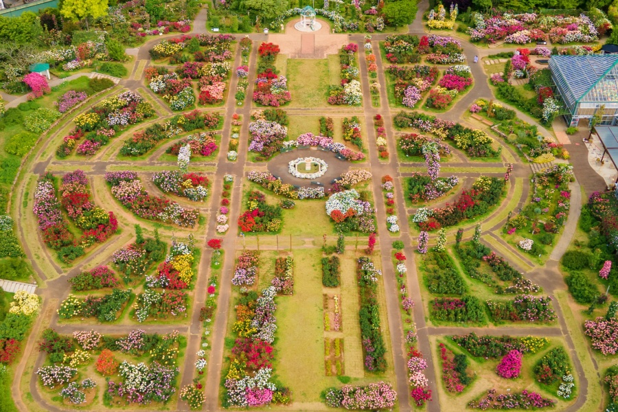 Chiba Keisei Rose Garden Admission Ticket