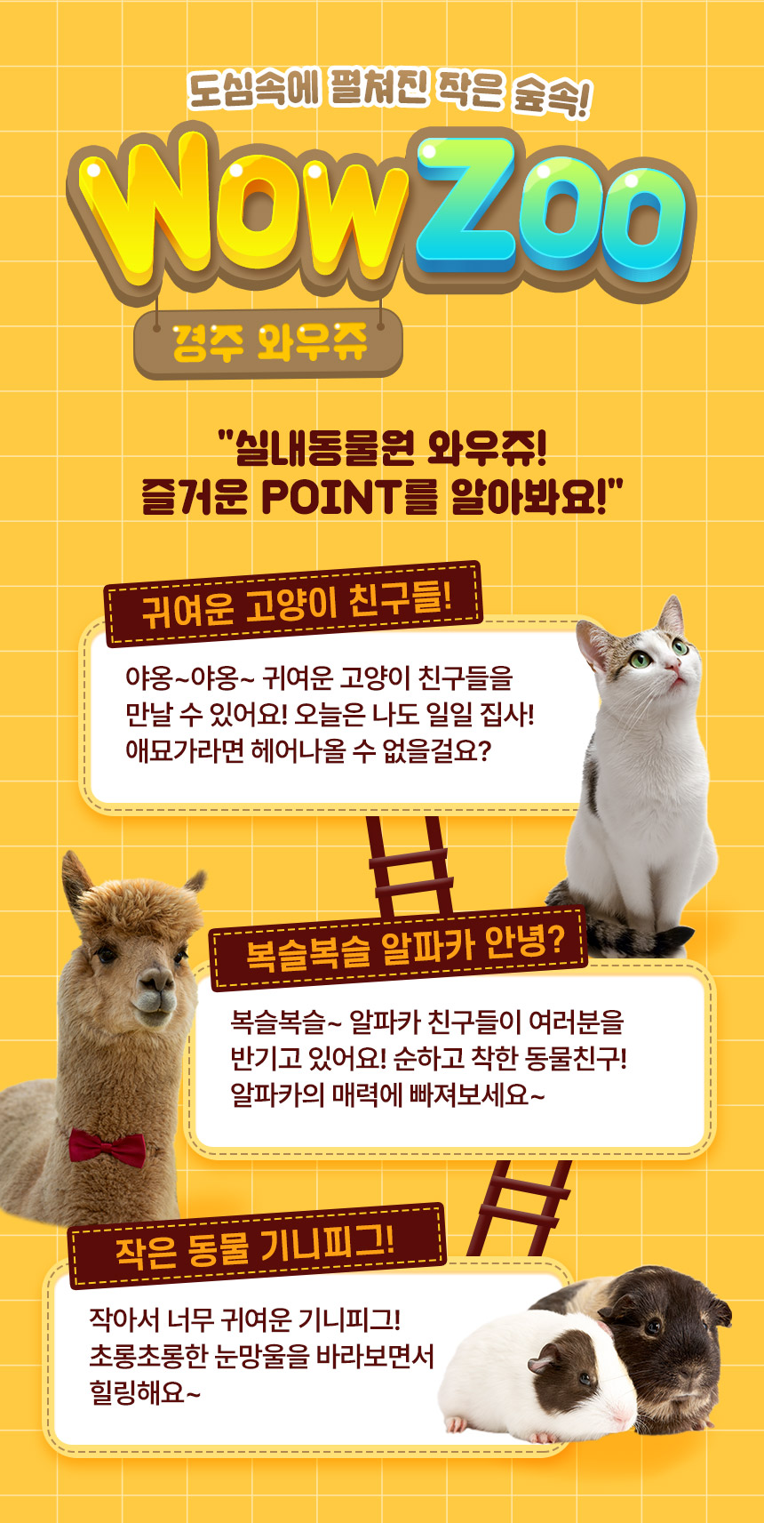 경주 와우쥬 WOW ZOO 입장권